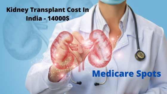 Kidney Transplant Cost In India | Best Kidney Surgeon India