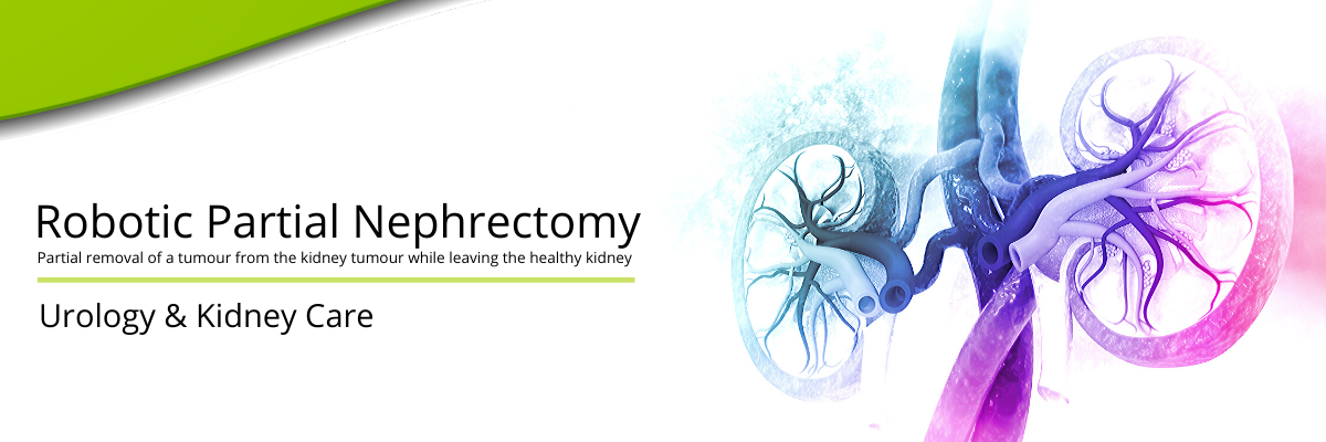 High-Quality Robotic Partial Nephrectomy Cost In India {Kidney Removal}